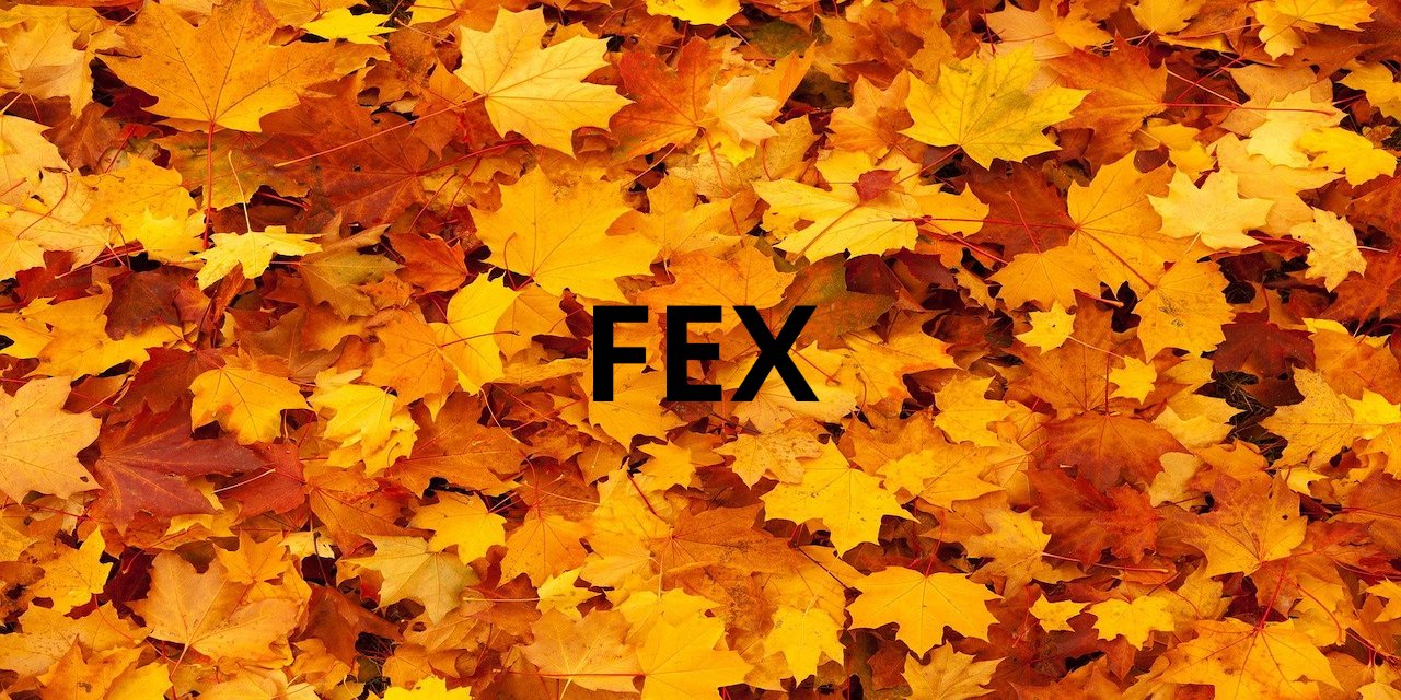 ¿Qué es la FEX? #FEX - ineuro